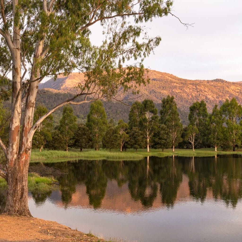 Things to do in Buffalo River & Nug Nug near Myrtleford, Victoria