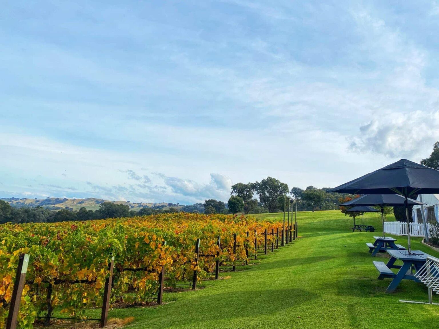 Parks and playgrounds in Myrtleford, Victoria's High Country